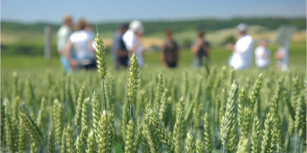 Impact Of Farmer Training To Agricultural Success | Greenlife | 2025 Update