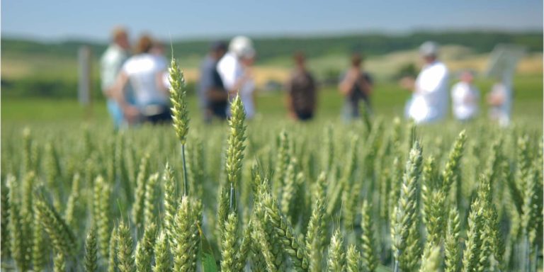 Impact Of Farmer Training To Agricultural Success | Greenlife | 2025 Update